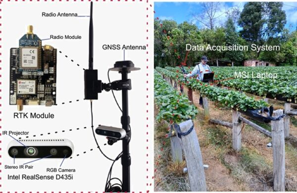 Strawberry yield mapping with camera and RTK - ArduSimple